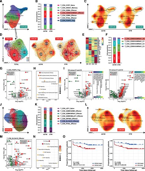 Single Cell Transcriptomics Reveals Crucial Cell Subsets And Functional Heterogeneity Associated