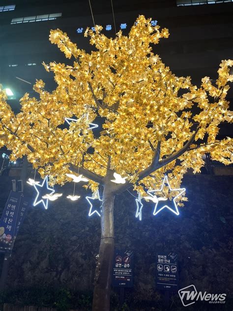 Tw포토 서울 가볼만한 곳 관악별빛산책11월 30일까지