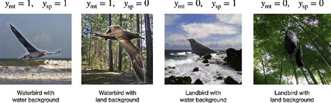Figure 18 From Removing Spurious Concepts From Neural Network Representations Via Joint Subspace