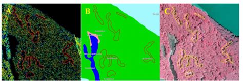 Using Lidar To Identify Forest Canopy Gaps In Riparian Forests Land Imaging Report Site