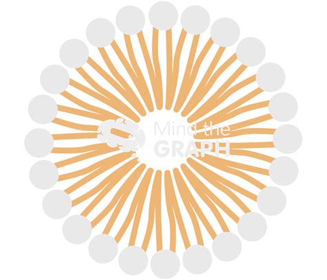 Free Micelle Icons Symbols Pictures And Images Mind The Graph