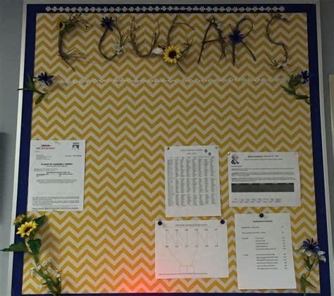 Spring Bulletin Board With Branches