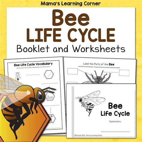 Bee Life Cycle Worksheets Mamas Learning Corner