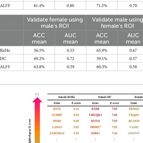 Classification Accuracy Based On Brain Functional Activity Download