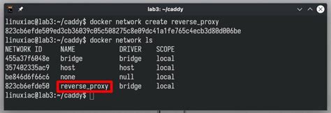 How To Set Up Caddy As A Reverse Proxy