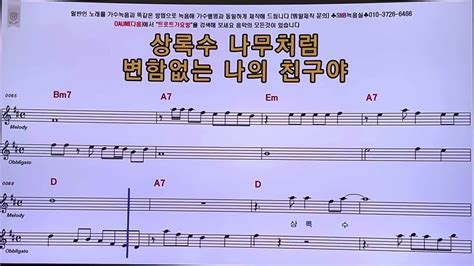 플백년친구악보양세민ㅡ손미영알토색소폰ㆍ플루트연주 Youtube