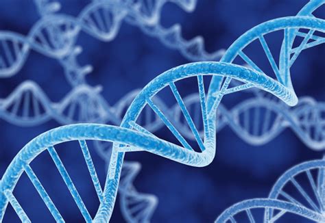 Scientists Sucessfuly Create First Ever Cloned Embryo From Adult Cells