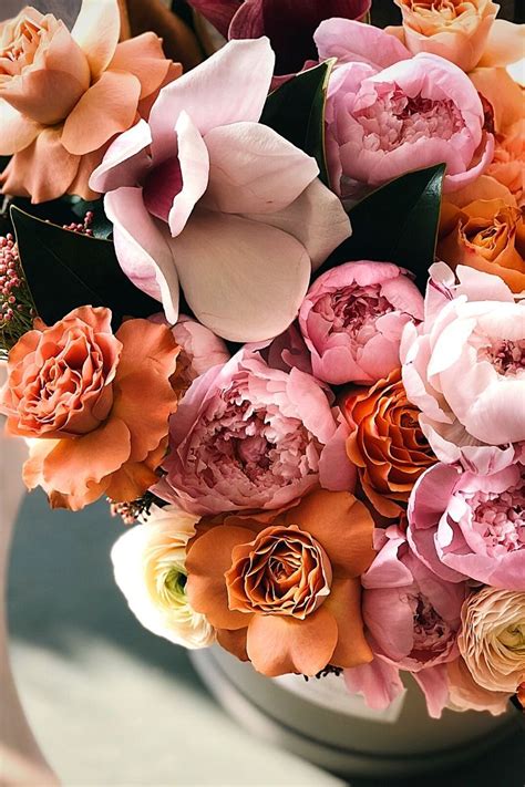 Dusty Rose Flowers And Their Timeless Meaning