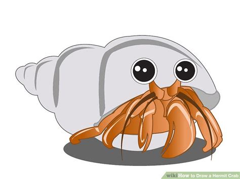 How To Draw A Hermit Crab Steps With Pictures WikiHow