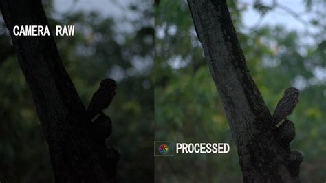 Hsl Restoration Darktable Workflow Youtube