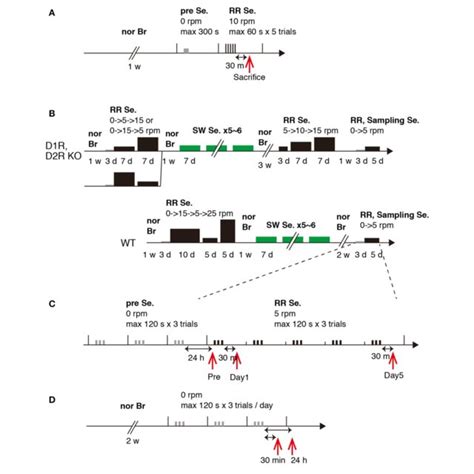 Expression Patterns Of Eight Iegs In The Cerebellum Of Naive Mice