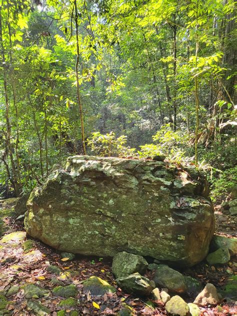 Mount Pico De Loro R Phikingandbackpacking