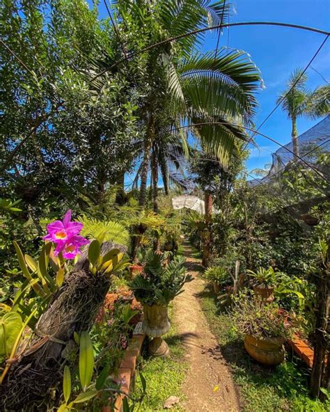 6 Jardines Botánicos únicos En México Para Una Escapada Verde Y Diferente Escapadas Por México
