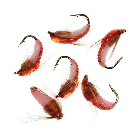 Vinterfluga Isfiskefluga Pimpelfluga Bete öring Röding Abborre