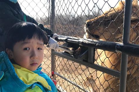 2023 Private Full Day Beijing Wildlife Park Tour