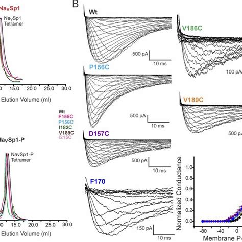 EPR Environmental Parameters Reveal Conformational Differences In The Download Scientific