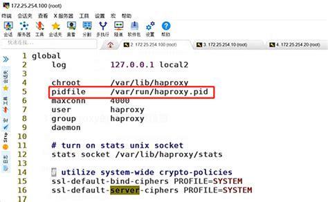 haproxy篇 haproxy 接受到请求的时间和转发到后端接受到的时间相差很大 csdn博客