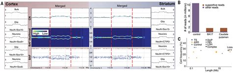 Analysis Of Somatic Mutations In 131 Human Brains Reveals Aging Associated Hypermutability Pmc