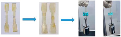 Dynamic Boronic Ester Cross Linked Polymers With Tunable Properties Via Side Group Engineering
