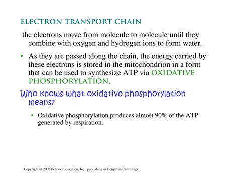 SOLUTION Cellular Respiration Steps Studypool