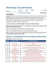 LAB REPORT Microscopy Use And Function 1 Microscopy Use And Function Babe Name HERE