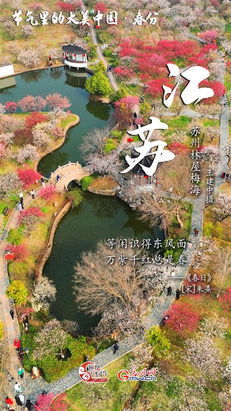 节气里的大美中国春分丨山色连天碧 林花向日明 光明网