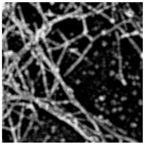 Mathematical And Computational Applications An Open Access Journal From Mdpi