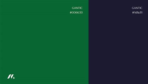 Mahdi Identity On Behance