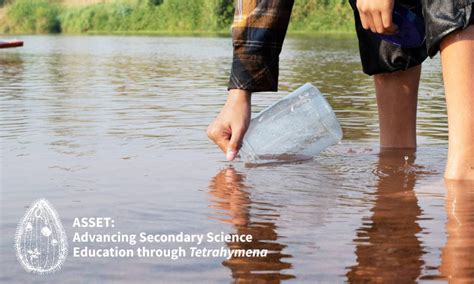 The Asset Program In St Louis For St Louis Washu