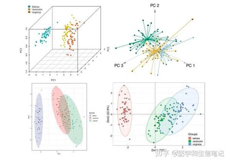 11篇文章详解聚类和pca可视化 知乎