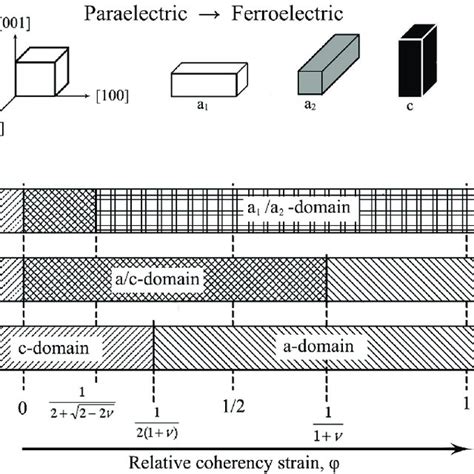 Domain States In Tetragonal Ptfs A Three Domain States In Tetragonal