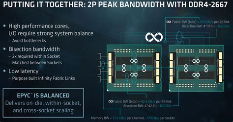 AMD EPYC Series Processor Set To Change The Game Legit Reviews