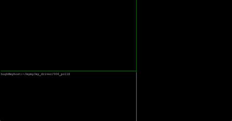 Fichugh Linux Poll 機制