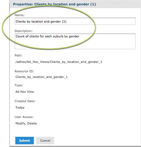 Editing An Ad Hoc View Community Bi Support