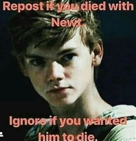 Pin De Schweitzer Tiffany Em Maze Runner Imagine Coisas De Geek Newt