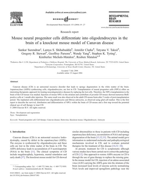Pdf Mouse Neural Progenitor Cells Differentiate Into Oligodendrocytes In The Brain Of A
