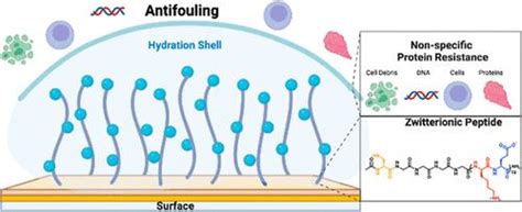 Mitigating Membrane Biofouling In Protein Production With Zwitterionic Peptideslangmuir X Mol