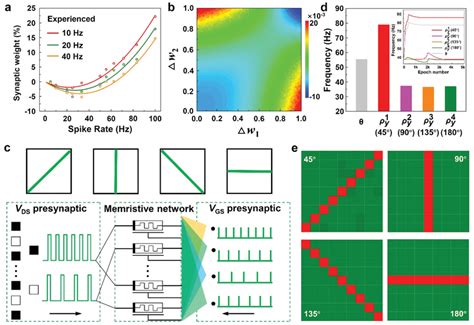 Simulation Of High‐order Spatiotemporal Selectivity A Calculated Download Scientific Diagram