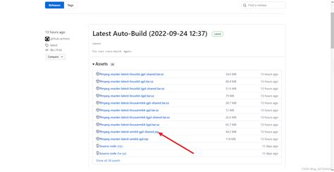 安装ffmpeg及配置 Ffmpeg格式之间的转换ffmpeg 新编译的版本怎么切换 Csdn博客 安装ffmpeg及配置 Ffmpeg格式之间的转换ffmpeg 新编译的版本怎么切换 Csdn博客