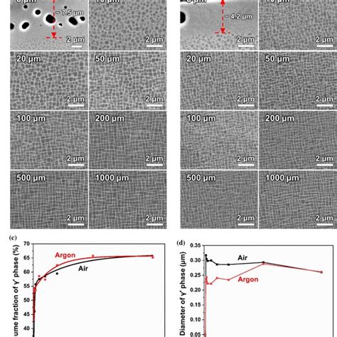Oxidation Effects On The Microstructure Of The Ni Based Sx Superalloy