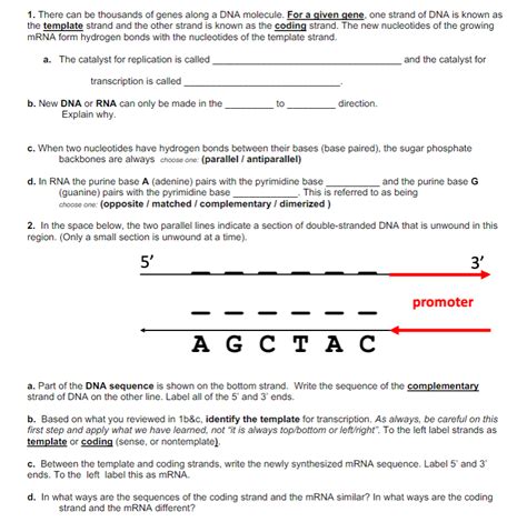 2a Part Of The DNA Sequence Is Shown On The Bottom Chegg Com