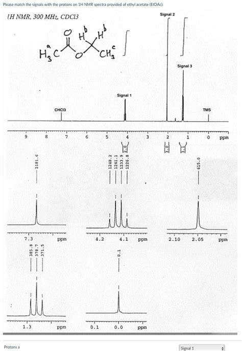 Solved Please Match The Signals With The Protons On 1h ﻿nmr