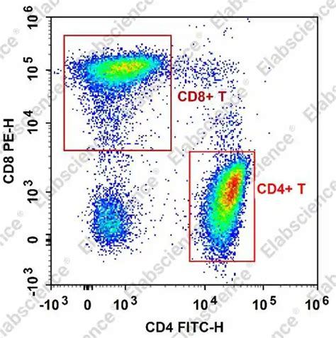 Introduction Of Flow Cytometry Summary Of Flow Cytometry Staining Principles