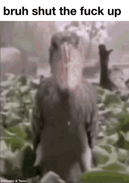 Bruh Shut  Bruh Shut The Discover And Share S