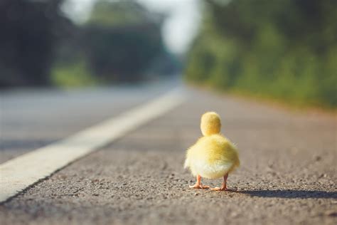 Groot Denken Klein Beginnen Loyal Partners