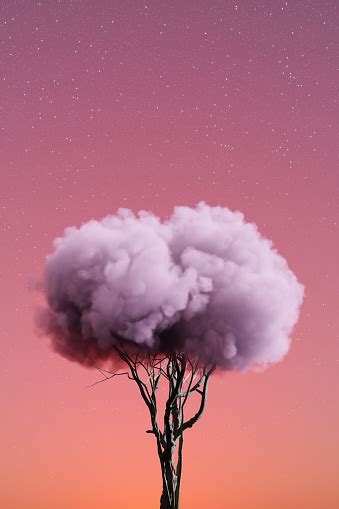 3d 렌더링 Abstact 무대 연단 배경 꿈의 배경 분홍색 하늘과 일몰의 별의 구름 나무 제품 디스플레이 모형 및 쇼케이스 0