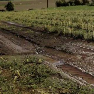 Soil Texture V1 0 0 0 FS25 FS22 Mod