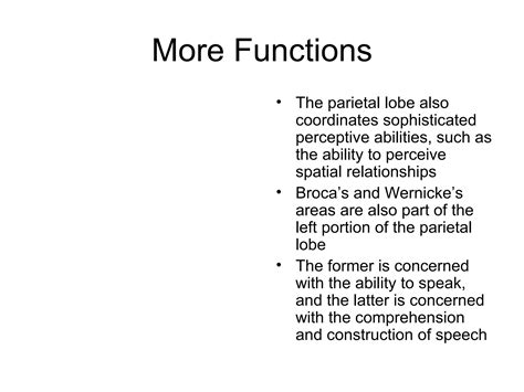 The Parietal Lobe Ppt Brain And Nervous System Disorders Diseases And Conditions