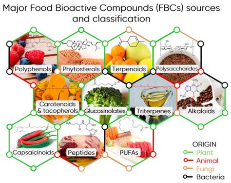 Polyphenols And Health Encyclopedia Mdpi