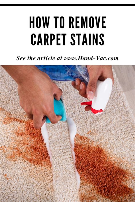 How To Remove Rug Stains Artofit